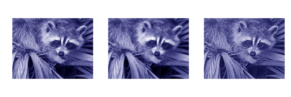 Image Processing With Scipy And Numpy In Python Dataflair