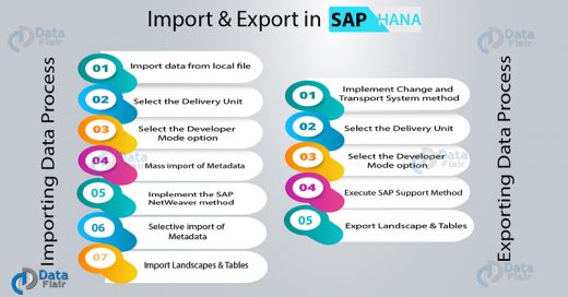 Import and Export in SAP HANA - Gain Expertise in All the Methods ...