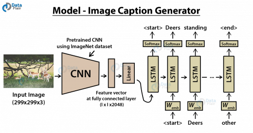 Python Based Project Learn To Build Image Caption Generator With Cnn And Lstm Dataflair