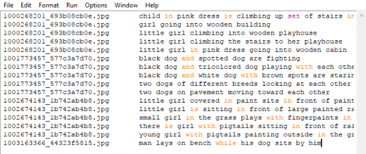Python Based Project Learn To Build Image Caption Generator With Cnn And Lstm Dataflair