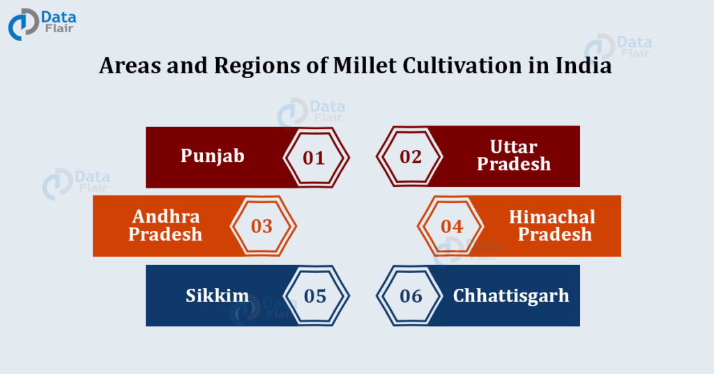 Millets in India - Ideal Conditions for Millets Cultivation - DataFlair